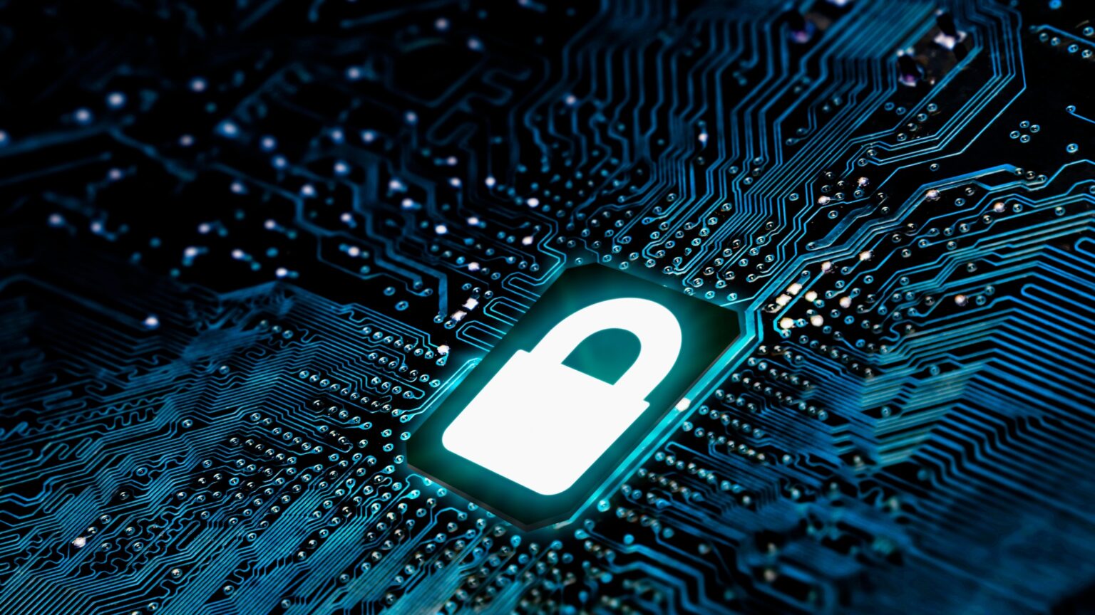 Crypto Asset Protection: Steps to Safeguard Your Digital Wealth